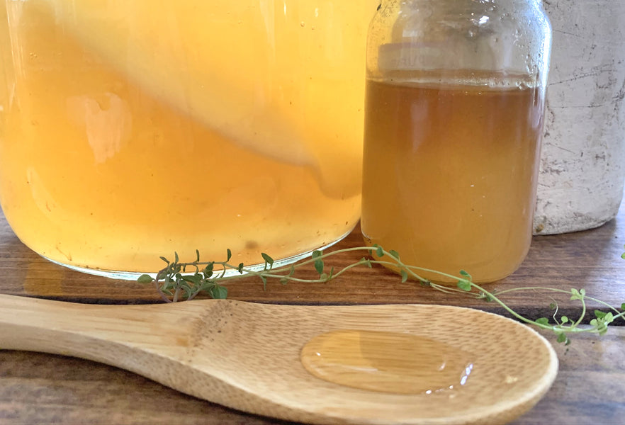 Jun Scoby with Starter Tea - Yemoos Nourishing Cultures